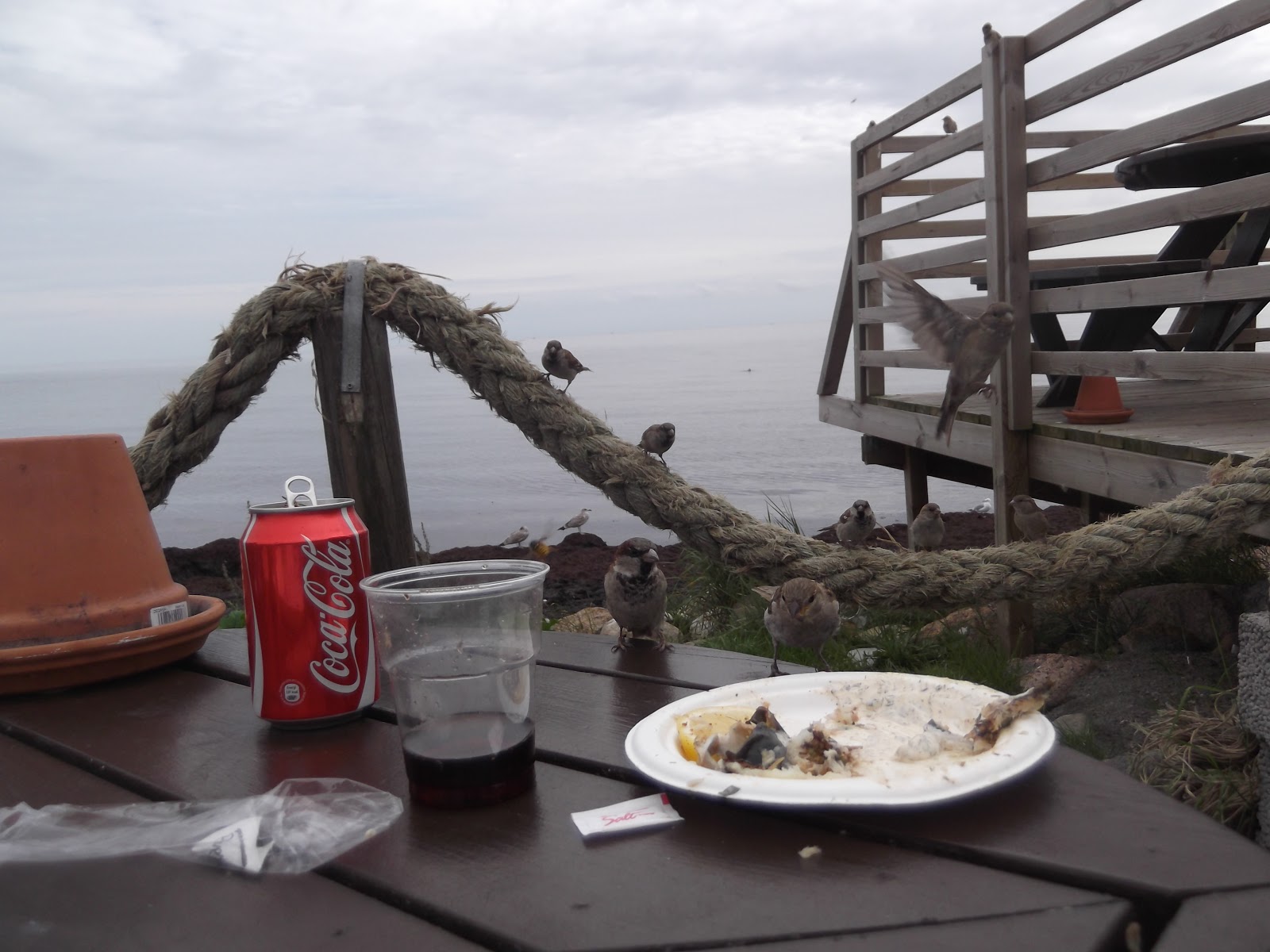 Ales Stenar, un lugar entre sagrado y profano en el sur de Suecia - La ...