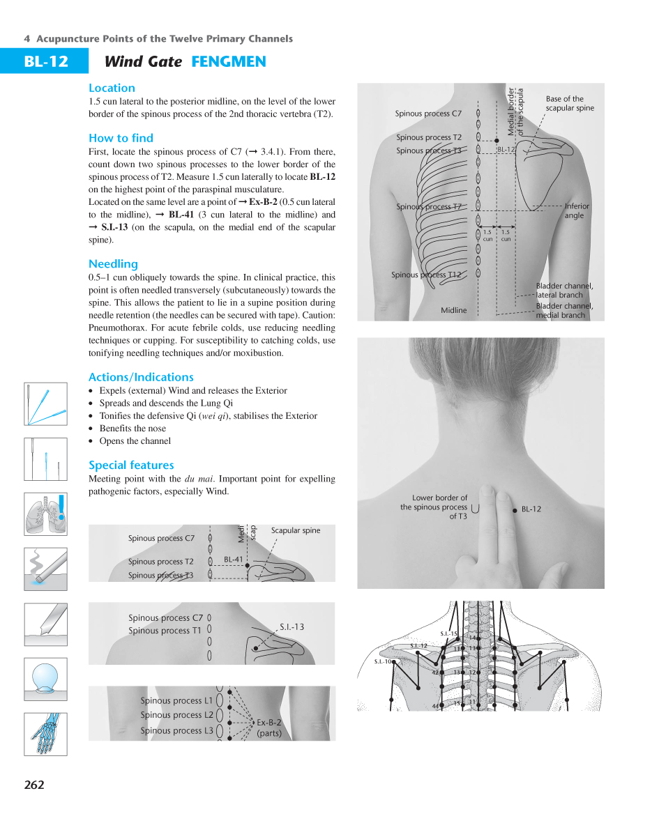 Acupuncture Masters: Acupuncture Points Database - Bladder Channel