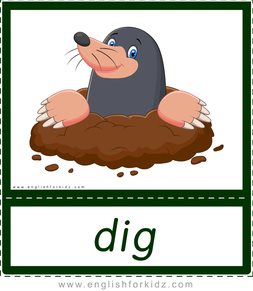 Printable Flashcards: Animal Actions. Part 2.