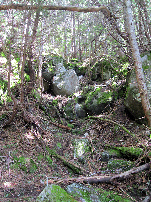 Hiking in the White Mountains: The Abandoned Adams Slide Trail