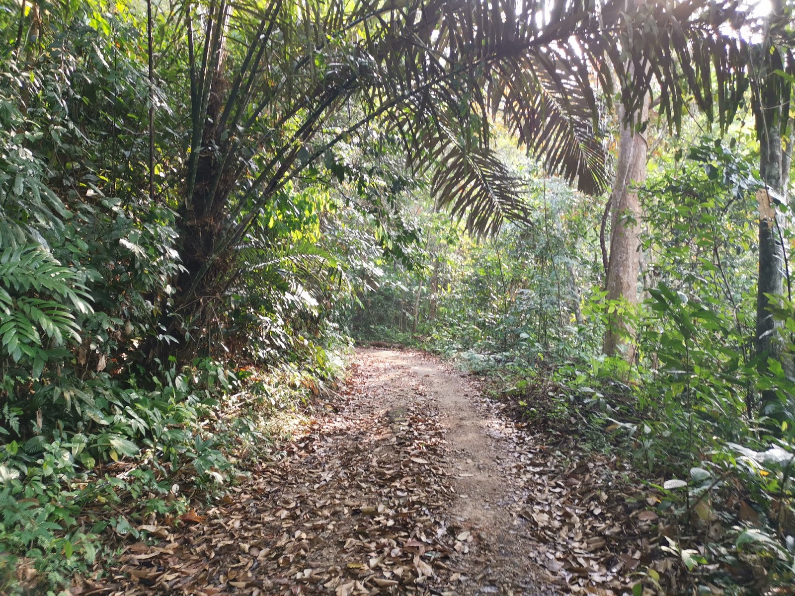 Gunung Hitam, Hulu Langat