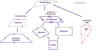 Different kinds of Quadrilaterals