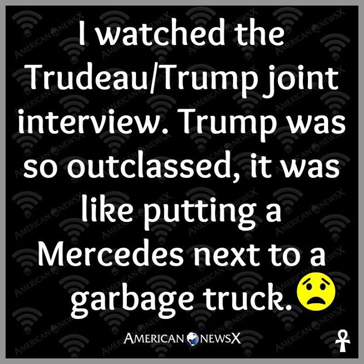 YELLOWDOG GRANNY: survived another week..how many more can we survive?