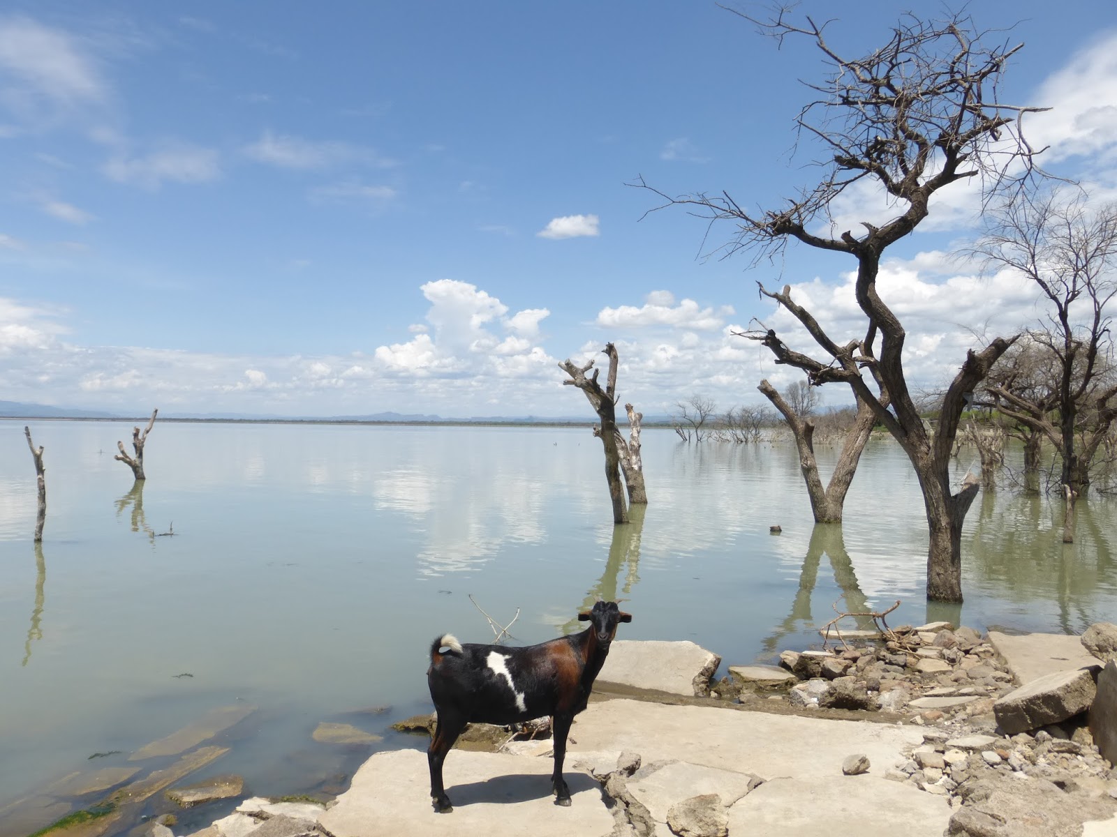 Backpacking Kenya. Lake Baringo, relaxing and local life.