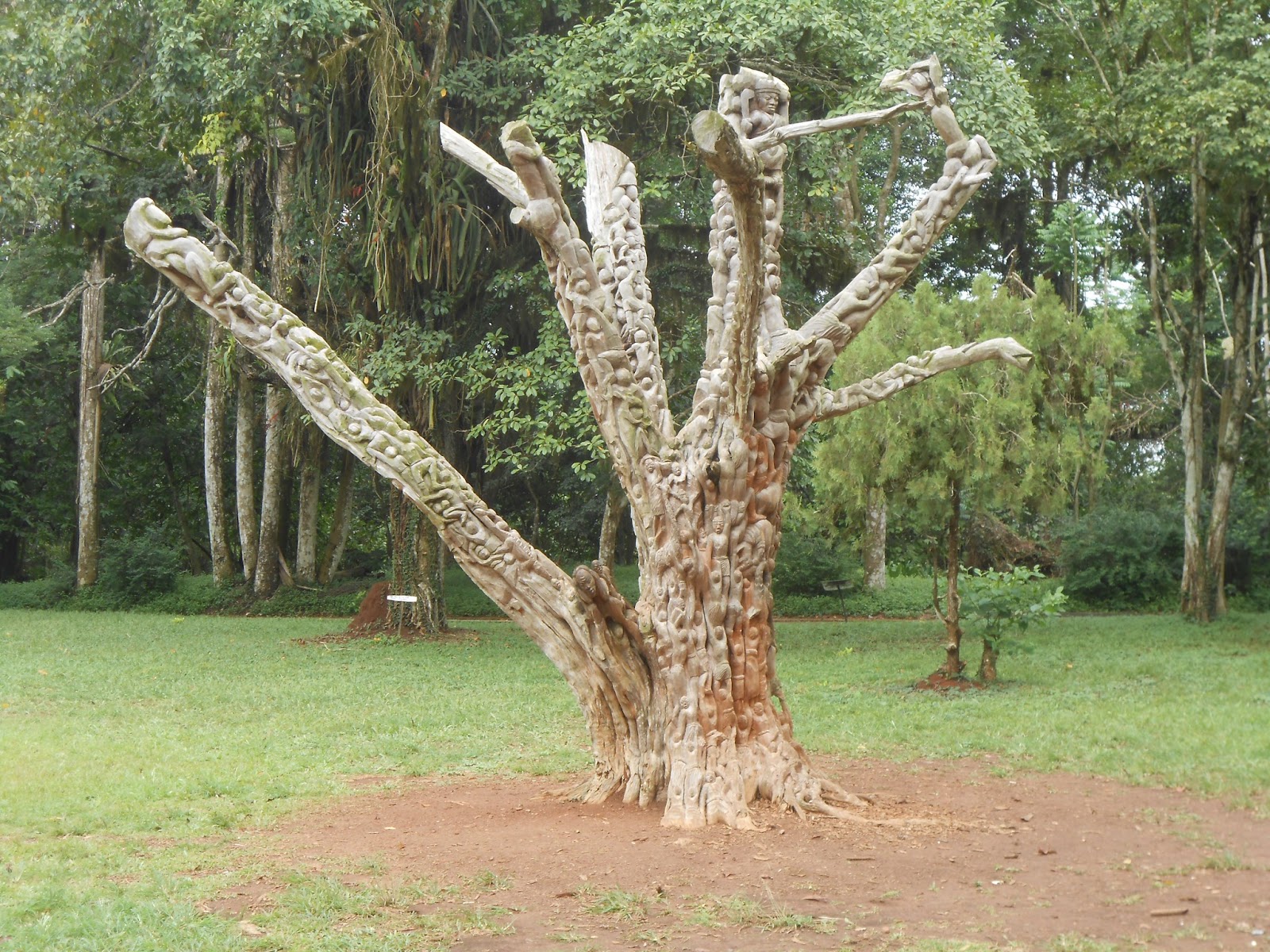 Elder Greg and Sister Debi Haws: Aburi Gardens and electricity (or the ...