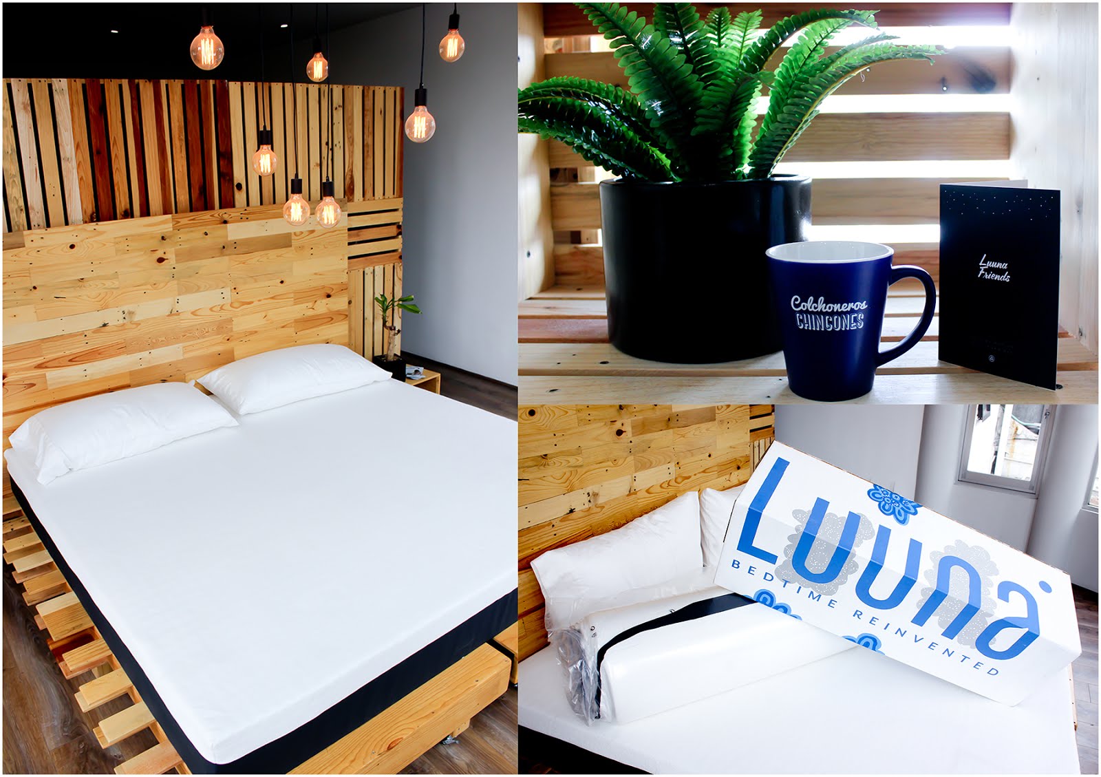 OPEN ADDICTION: LUUNA