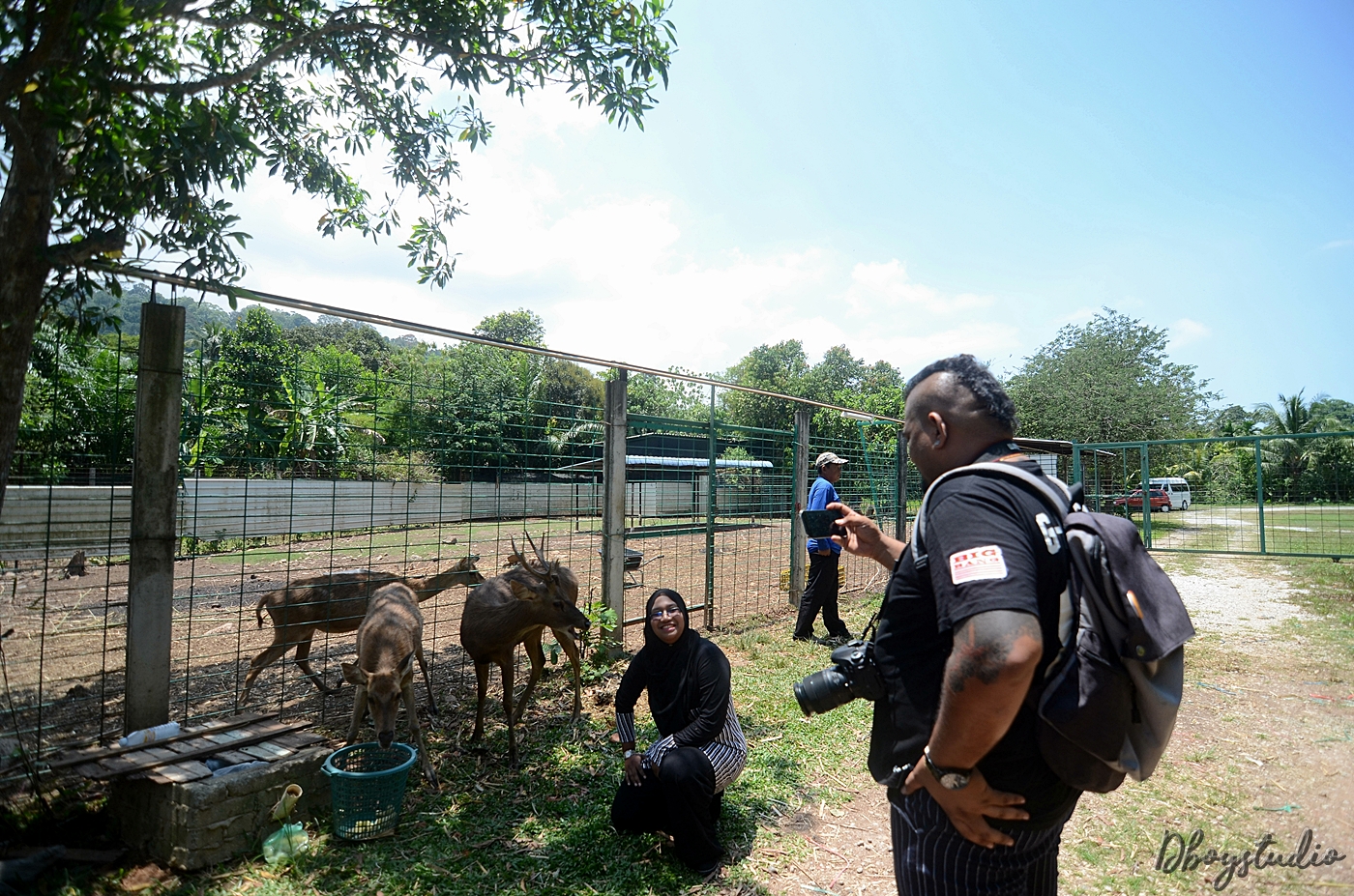 DboystudioMakan: Batas Ubi Deer Farm, Yan Kedah menikmati grill daging ...