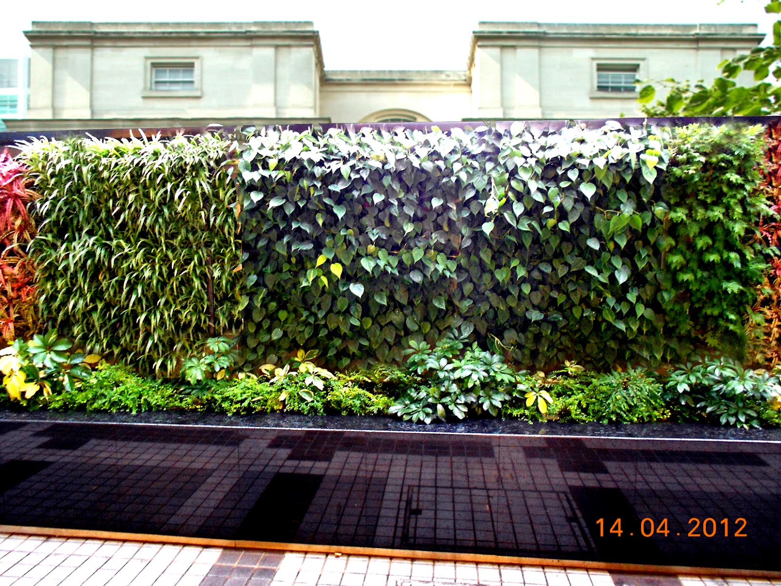 Vertical Garden Concept for Buildings: Greenwall Vertical Garden System ...