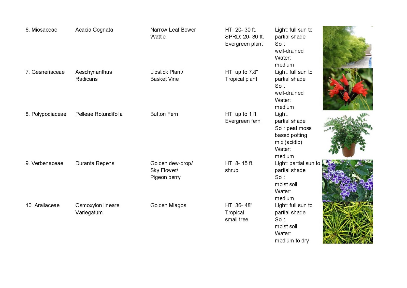 Softscape Materials: Plant List 1