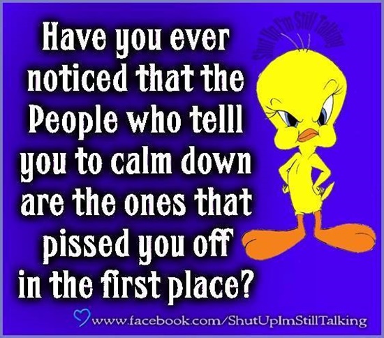 30 Best Funny Tweety Bird Quotes