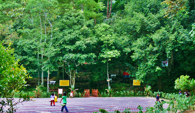 Foto Memori Ku: Istimewanya Hutan Lipur Soga Perdana , Batu Pahat