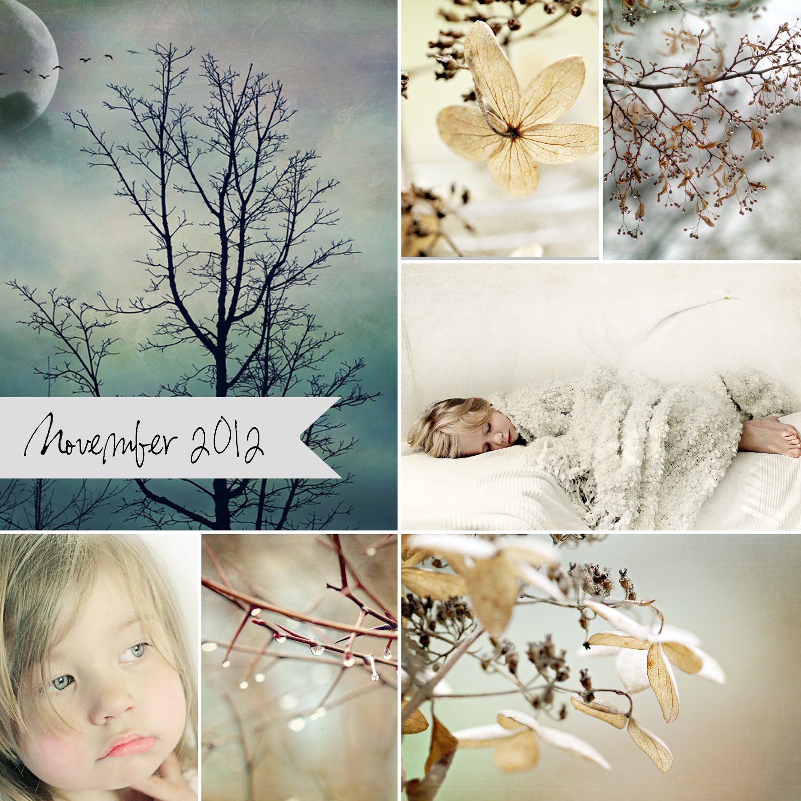 Mona's Picturesque: December 2012