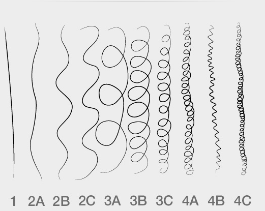 Tipos de cabello, cuál es el tuyo?