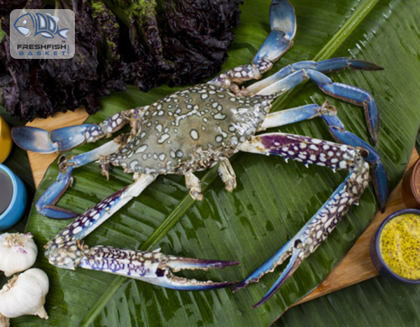 Fresh Fish Basket - Fresh Fish, Chicken, Mutton Online Home Delivery in ...