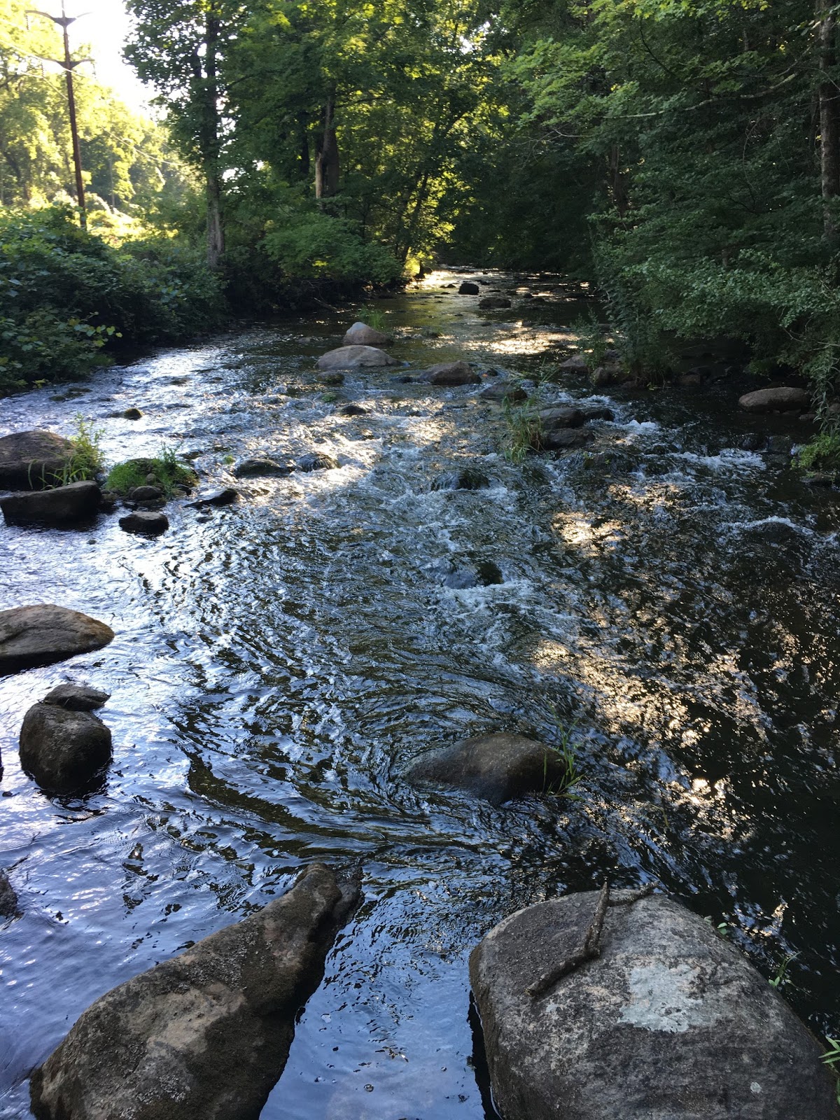 Of Rock & Riffle: Revisiting Memories of Late Summer on a Small Stream