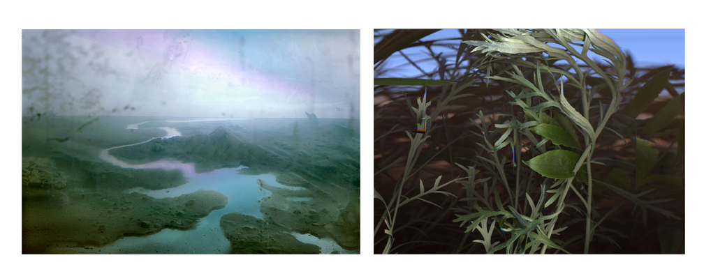 Photo Gallerino: IN THE WATER I AM BEAUTIFUL • Kim Keever & Bruce ...