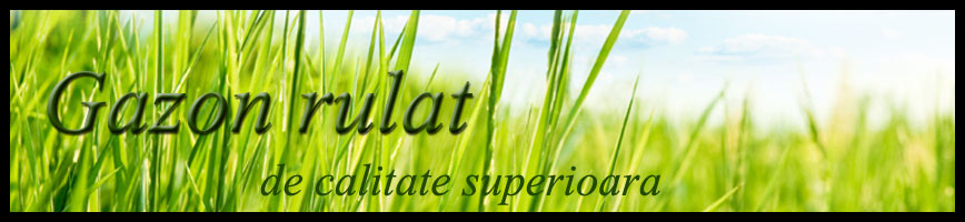 Gazon rulat de calitate superioara la preturi foarte mici