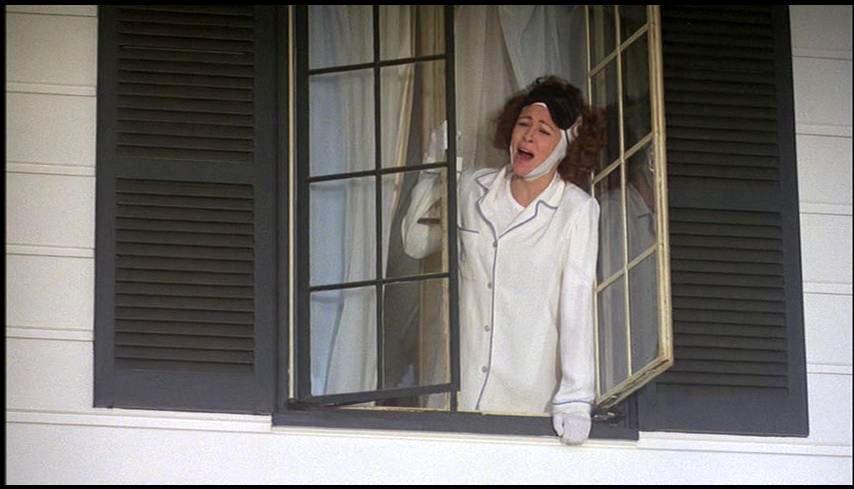 DREAMS ARE WHAT LE CINEMA IS FOR...: MOMMIE DEAREST 1981