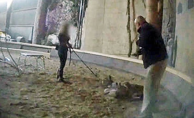 [AL FIN!] Zoológico de Canadá es clausurado luego de acusaciones de ...