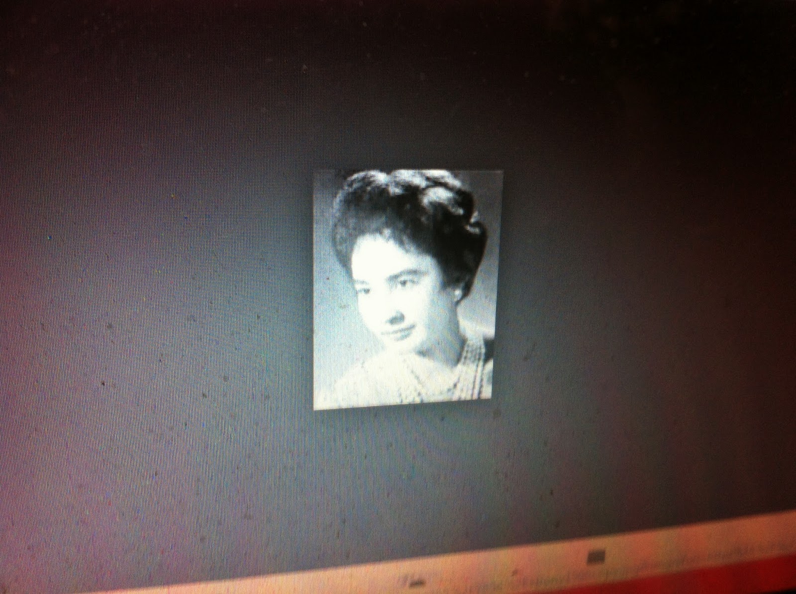 THE BLACK SOCIAL HISTORY:: BLACK SOCIAL HISTORY : AFRICAN AMERICAN ...