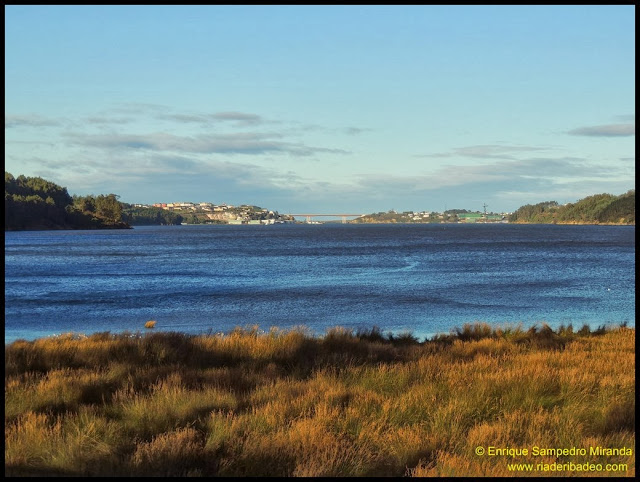 Ría de Ribadeo: diciembre 2013