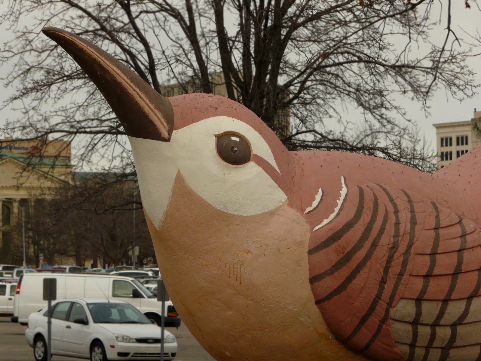 Picture Topeka: The WREN Wren