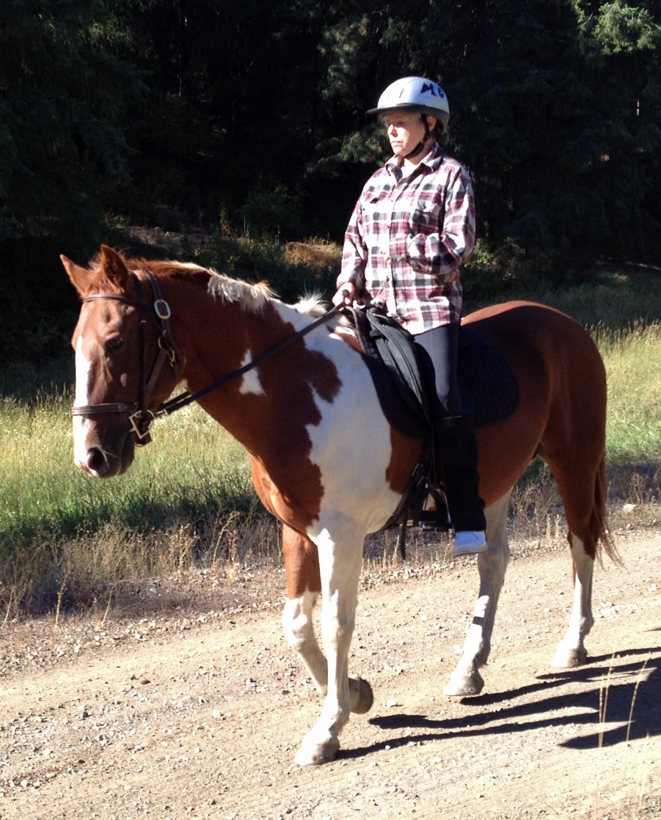 Methow Valley Riding Unlimited