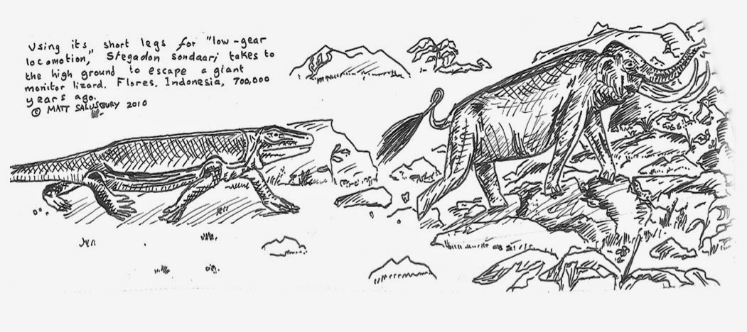 Matt Salusbury: Pygmy stegodons in "Twilight Beasts"