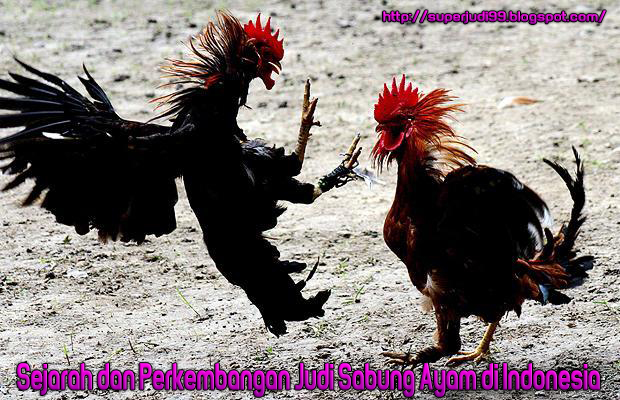 Sejarah dan Perkembangan Judi Sabung Ayam di Indonesia