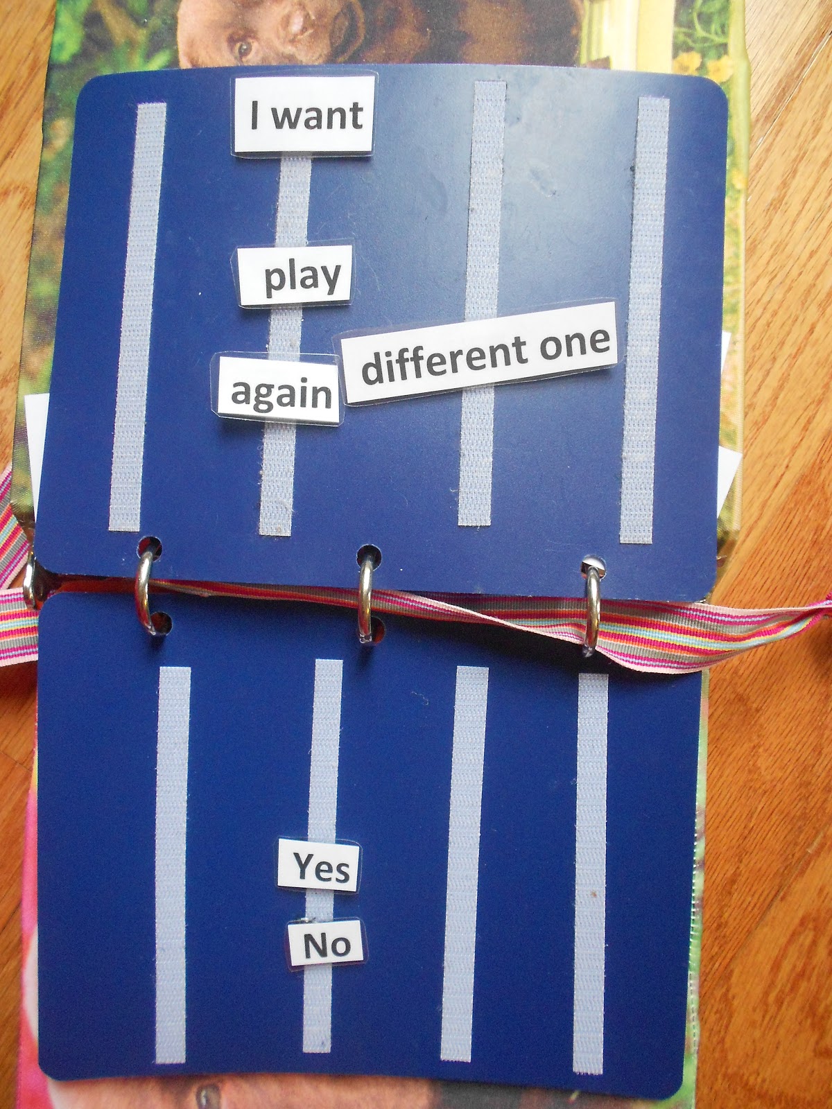 Where Lilli Blooms: Velcro Words