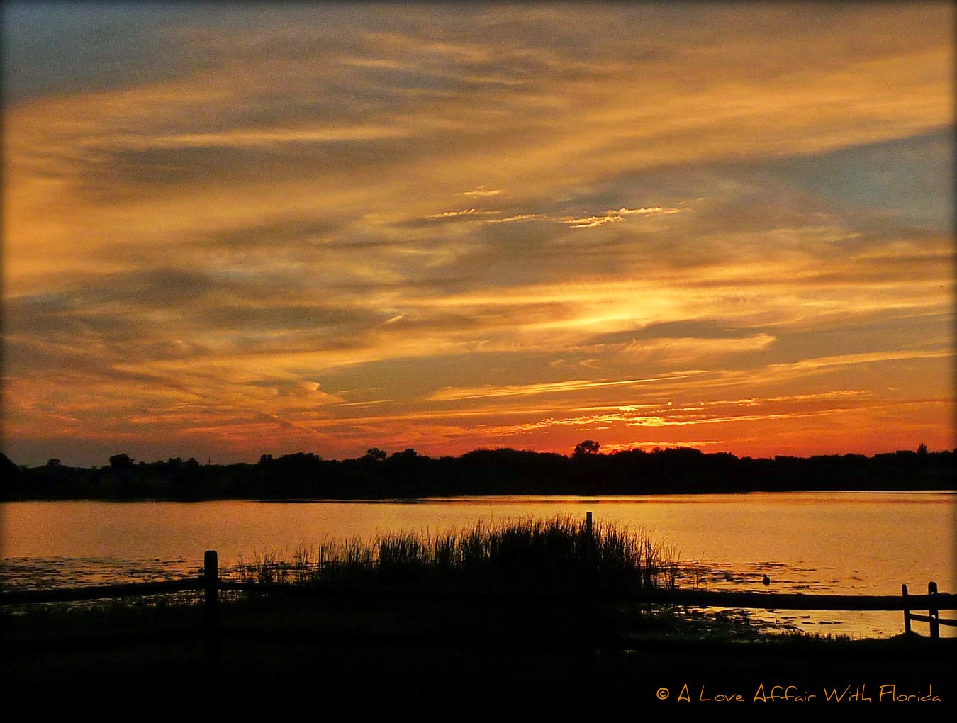 My Florida Love Affair