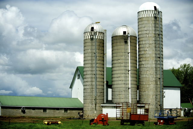 The View Through my Lens: Wisconsin Farms