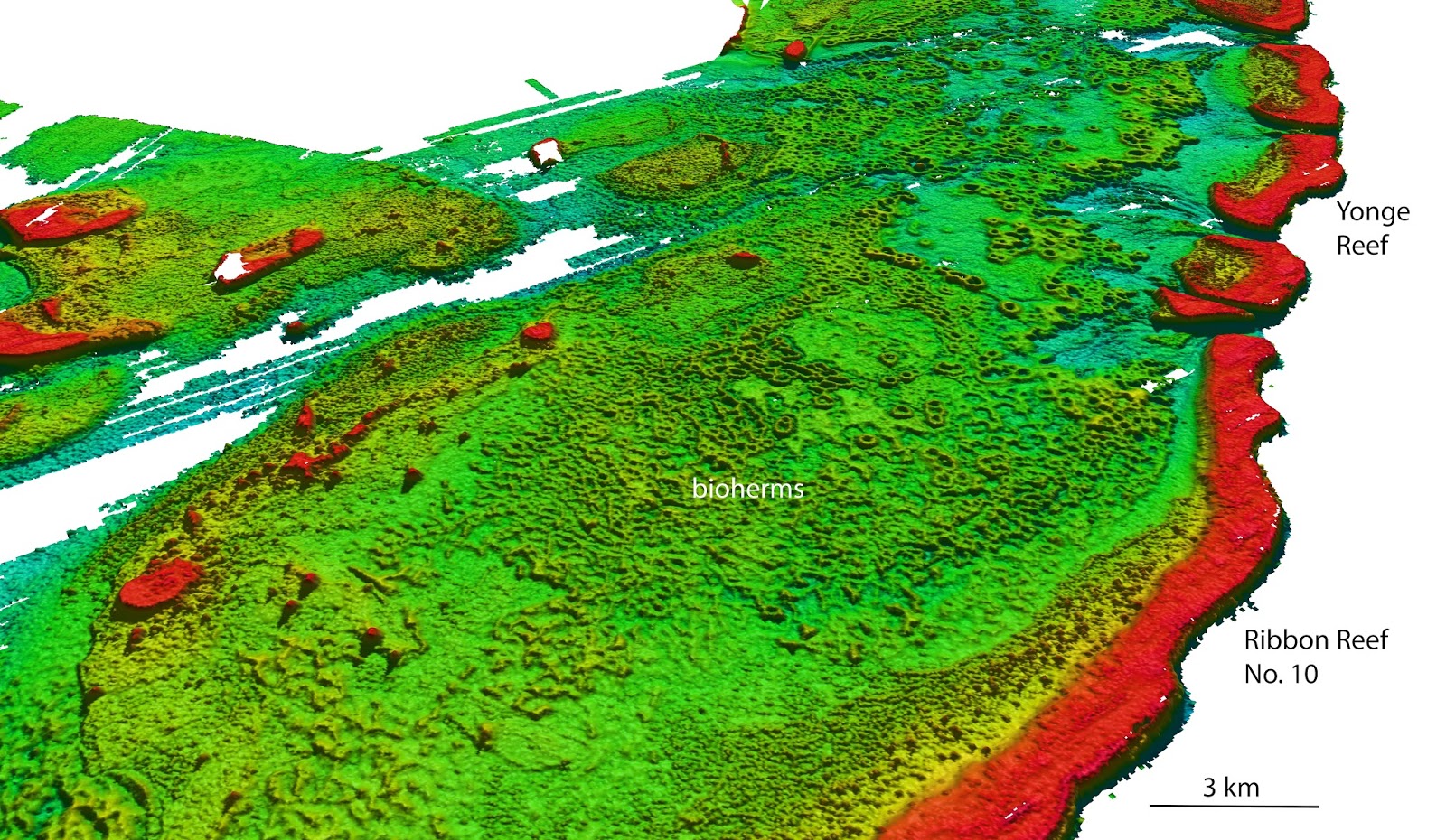 GeoGarage blog: Vast reef discovered behind Great Barrier Reef
