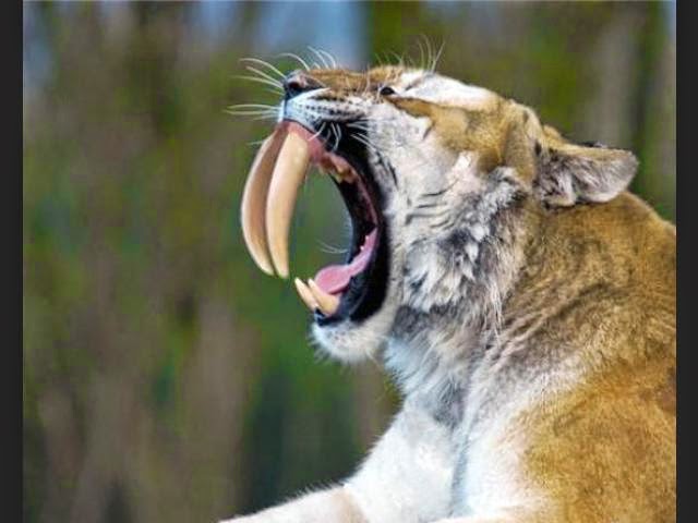 LA NATURALEZA Y LOS SERES VIVOS: 07/07/14