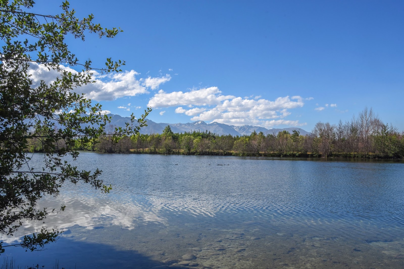 Paws Awhile: Lake Poaka