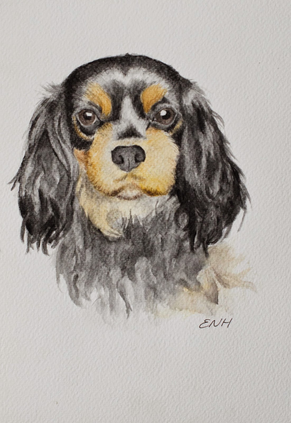 Emma Hewson Pet Portraits