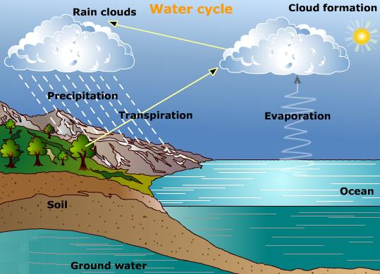 3M: Puppet show of the Water Cycle! By Aedan, Amala and Georgia.