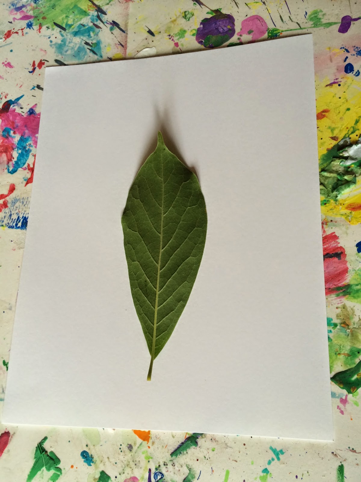 Mini Monets and Mommies: Negative Space Art: Kids' Leaf Paint Activity