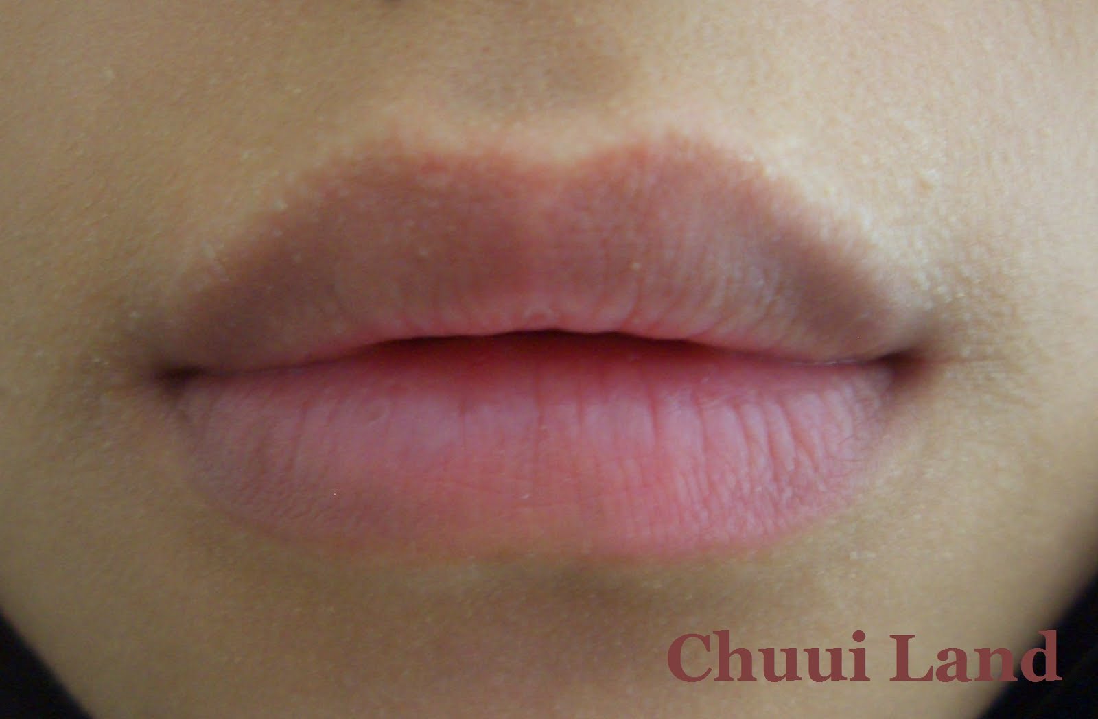Chuui Land: Review: Clinique High Impact Lip Colour in Rosette