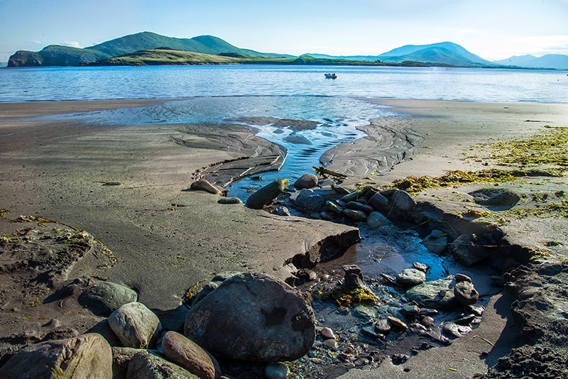 Rugged Ireland - WILD GREENS & SARDINES