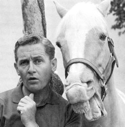 Classic Television Shows: Mr. Ed: The Talking Horse