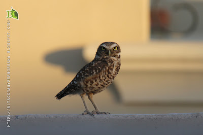 Bitácora Hyperboreana: 05.11