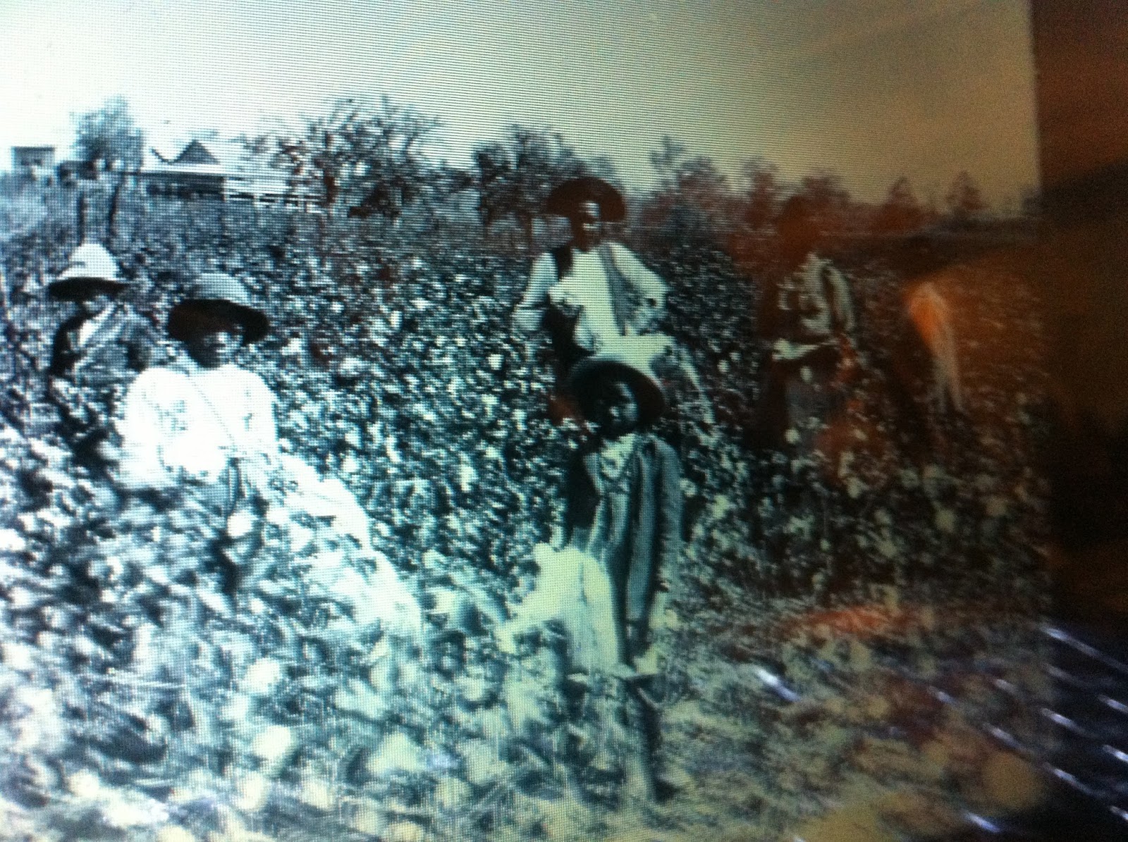 THE BLACK SOCIAL HISTORY:: BLACK SOCIAL HISTORY - PRE- CIVIL WAR ...