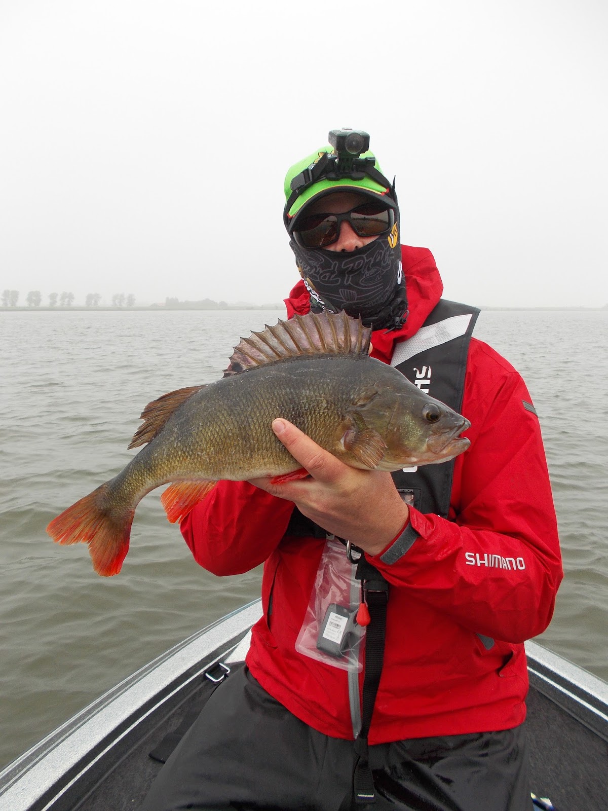 Sam Edmonds Fishing Blog: Predator Tour 2016, Hollands Diep, The ...