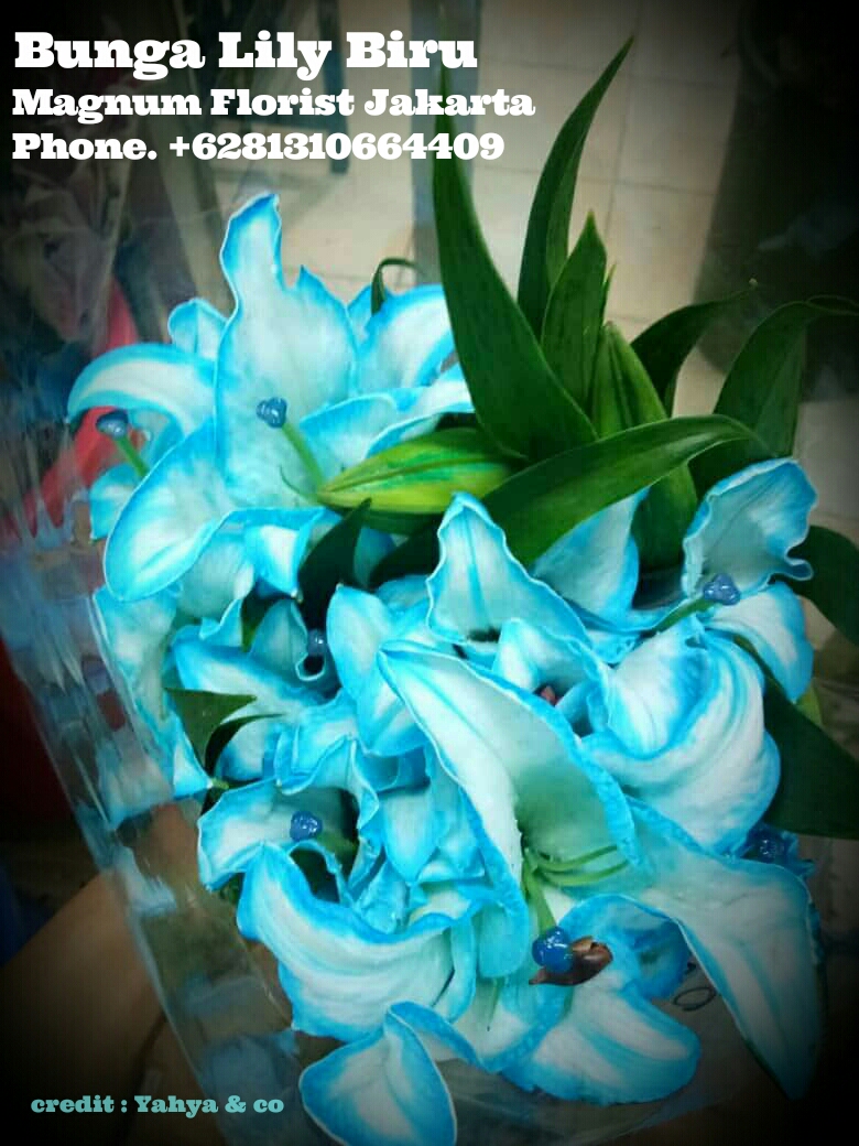 Toko Bunga Magnum Jakarta Barat - Online Florist Indonesia 24 Jam ...