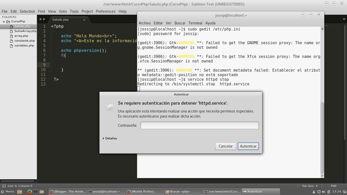 The Hunter: Mostrar Errores en Php. GNU/LINUX