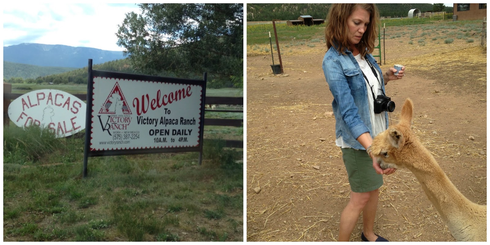 T's Daily Treasures: Sightseeing Saturday: Las Vegas NM