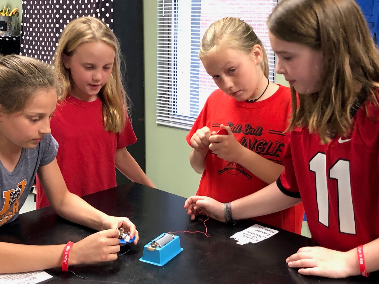 FPD 4th Grade News and Notes...: 4th Grade Science Lab Collaboration