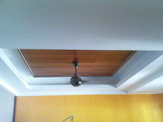 woods N curves: plaster ceiling