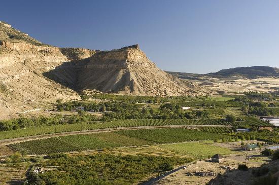 The Sweet Sommelier: When it’s Hard to Watch the News